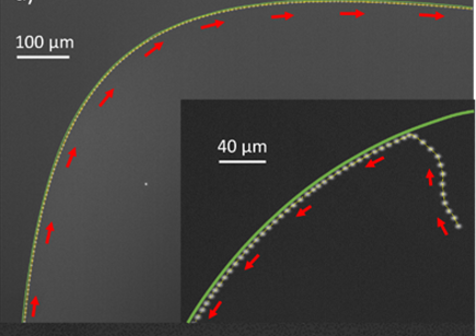 Active Matter and Self-Propelled Micromachines – Sambeeta Das Lab