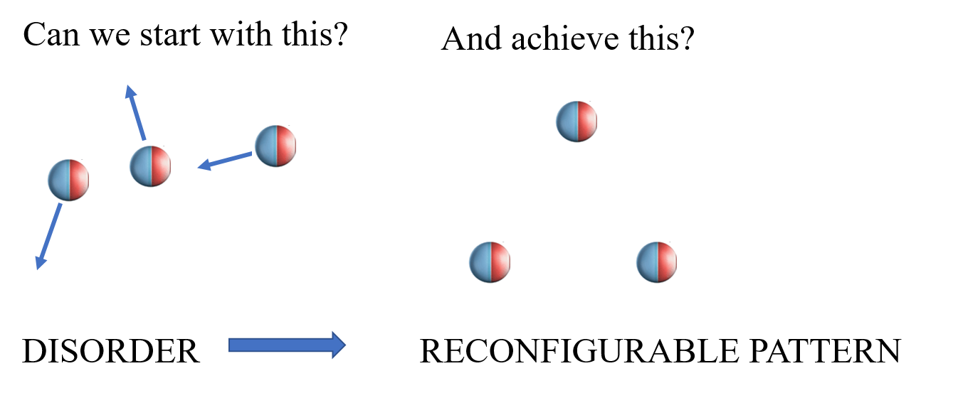 Control of Microrobotic Swarms – Sambeeta Das Lab